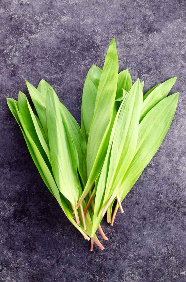 Our Favorite Ramp Recipes for Spring - Umami Girl