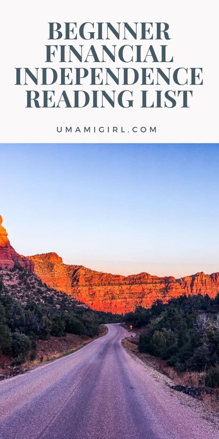 Our Financial Independence Journey: The First Book of January - Umami Girl
