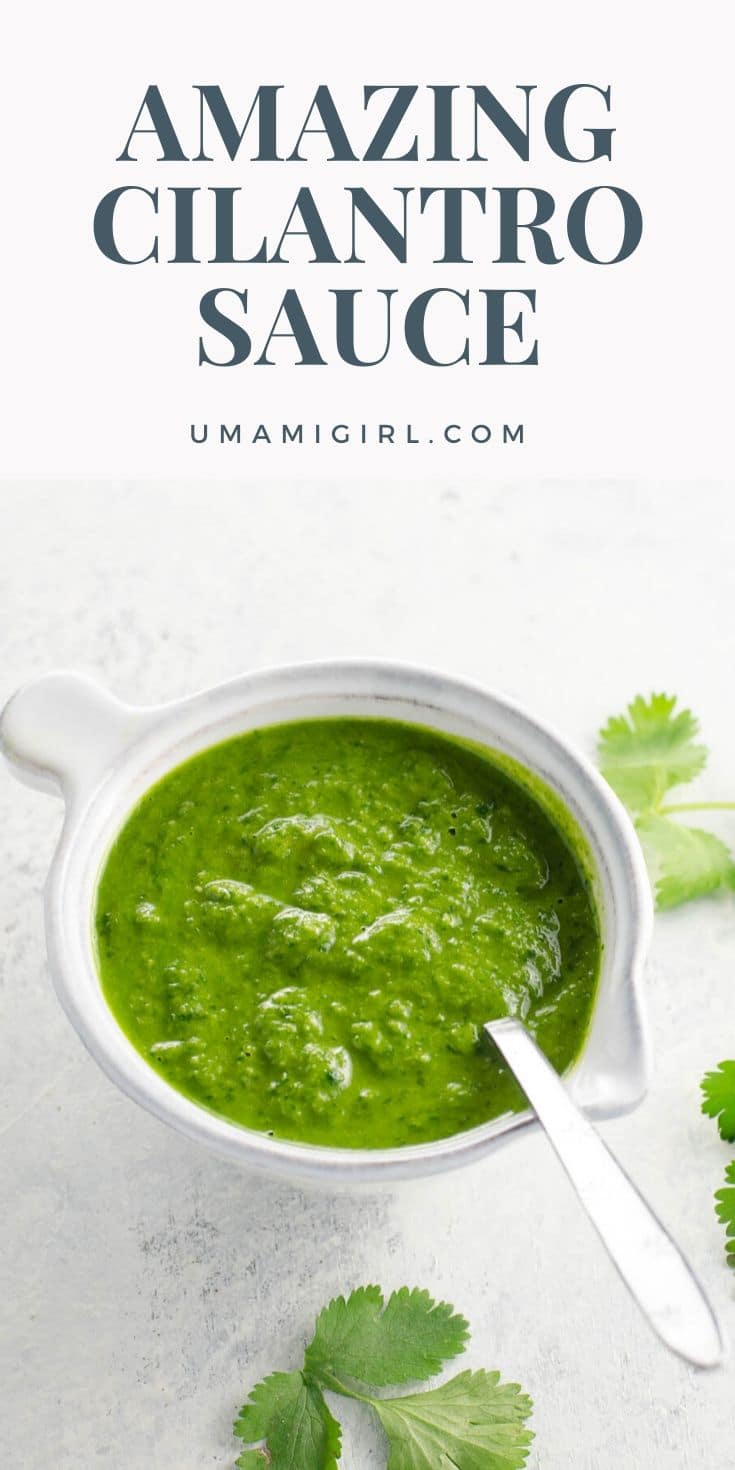 Cilantro Sauce Recipe for Tacos, Nachos, and More - Umami Girl