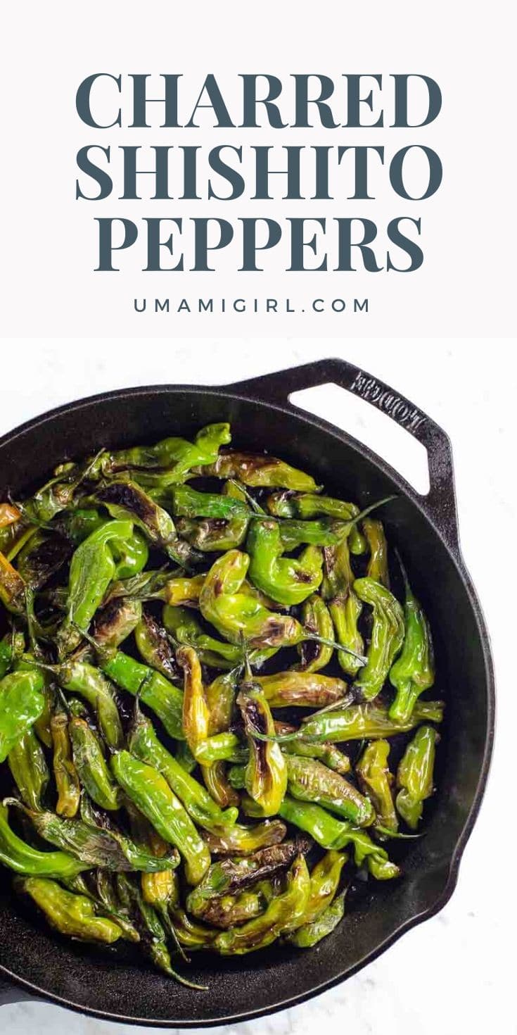 Charred Shishito Peppers Recipe: An Easy Appetizer - Umami Girl