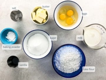 Best Yellow Cake Recipe with Chocolate Frosting - Umami Girl