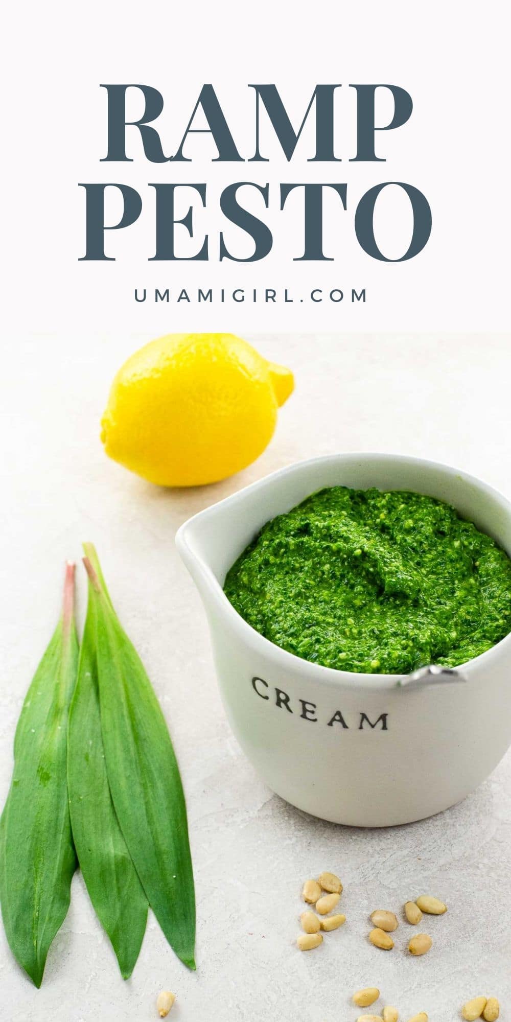 Ramp Pesto Recipe with Basil and Spinach - Umami Girl