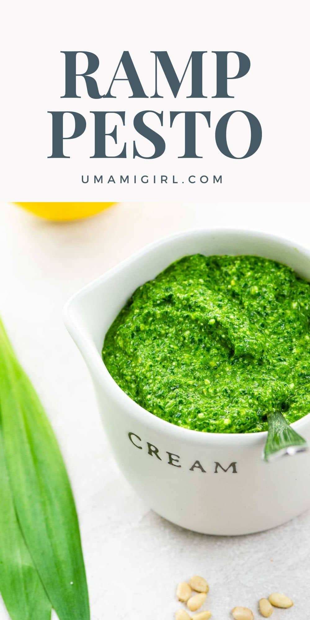 Ramp Pesto Recipe with Basil and Spinach - Umami Girl