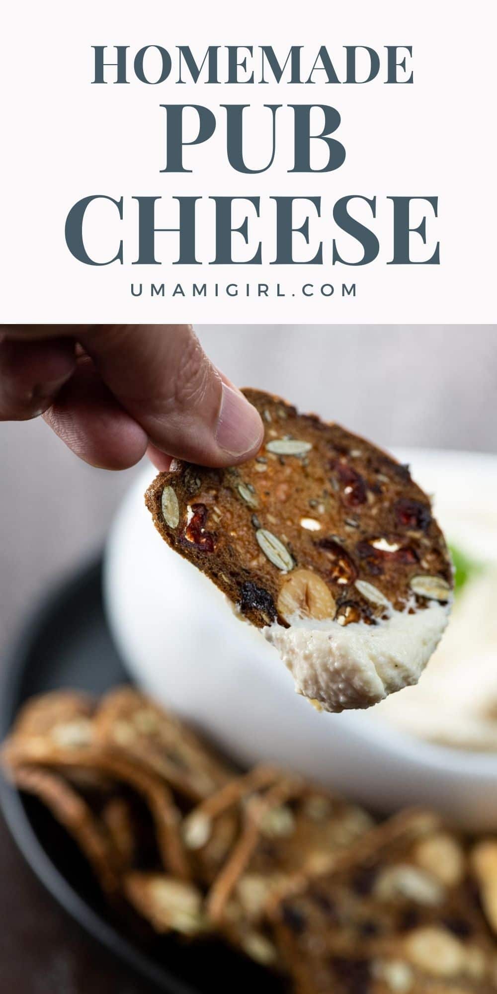 Pub Cheese (A Classic Bar Snack in 10 Minutes) - Umami Girl