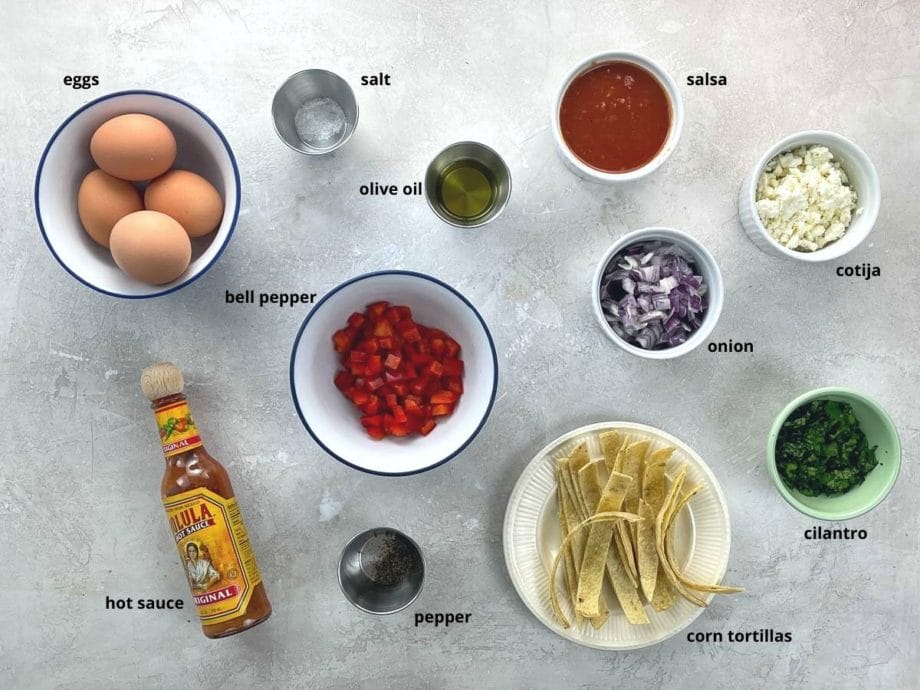 Migas Breakfast (Tex-Mex Scrambled Eggs and Tortillas) - Umami Girl