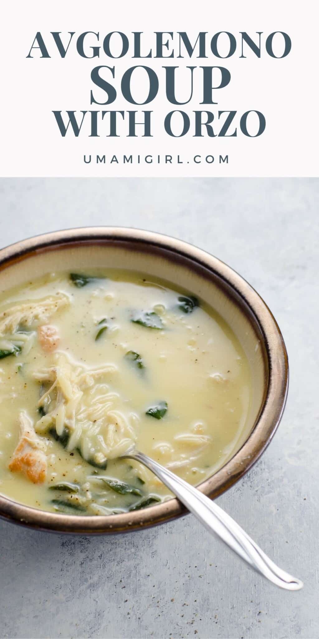 Avgolemono Soup (Greek Lemon Chicken Soup) with Orzo - Umami Girl