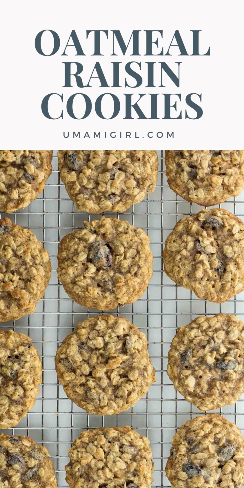 Quaker Oatmeal Raisin Cookies - Umami Girl
