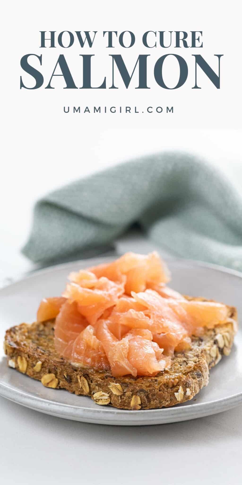 How to Cure Salmon (Gravlax Recipe) - Umami Girl