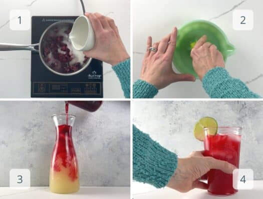 Raspberry Limeade - Umami Girl