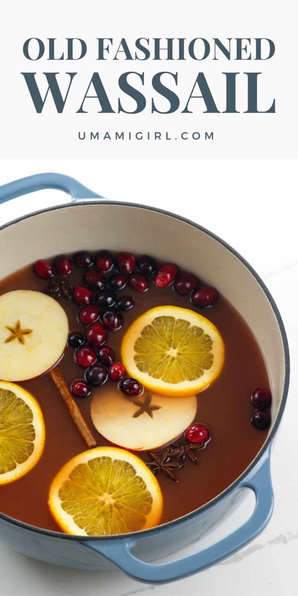 Old Fashioned Wassail Recipe - Umami Girl