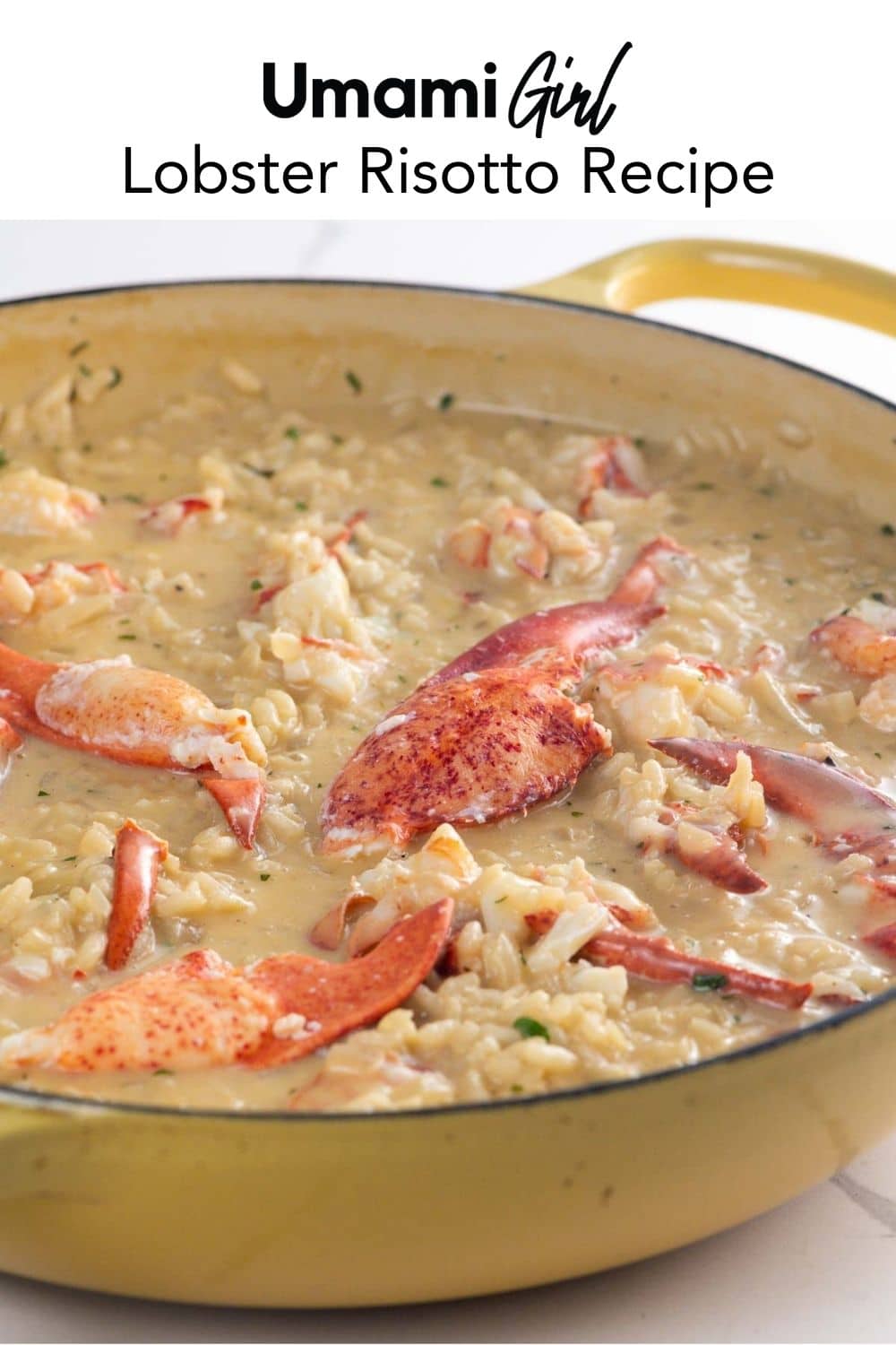 Lobster Risotto - Umami Girl